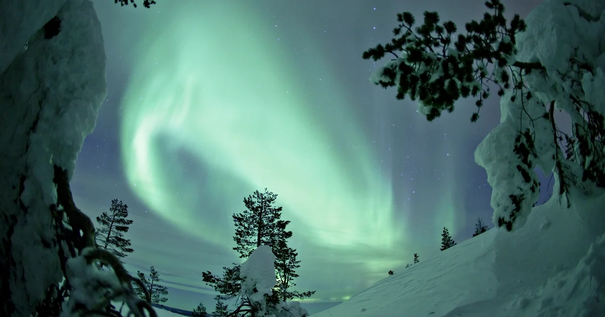 Arctic Spirit collection | Transun