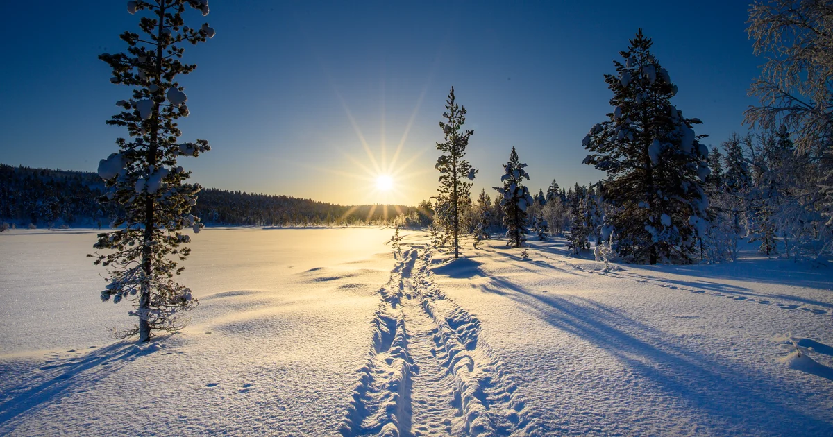 Travel with confidence | Transun – Northern Lights, Arctic Circle ...